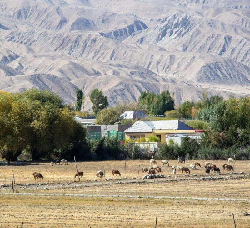 Xi'an: 12-Day Silk Road Tour to Kashgar - Key Points