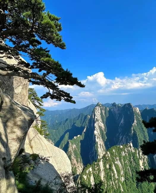 Xi'an: 6-Day Guided Tour with Meals and Transfers - The Sum Up
