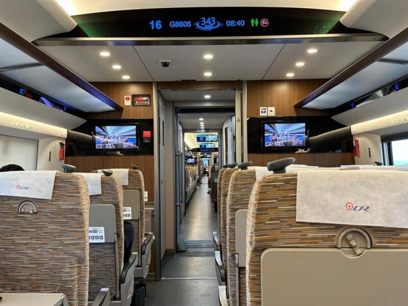 Xi'an/Chengdu Giant Panda Base Day Trip - Final Thoughts