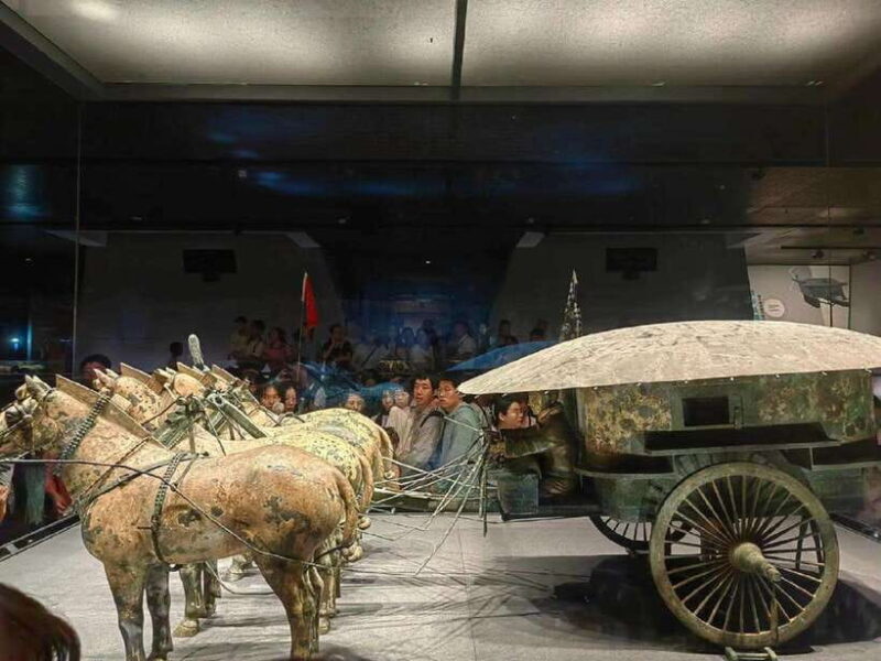 Xian: Emperor Qinshihuang Mausoleum Site Museum Entry Ticket - Who This Experience Is Best For