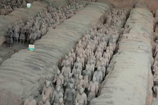 Xian Experience of Terracotta Warriors, Dumplings Dinner, Tang Paradise - What Travelers Say