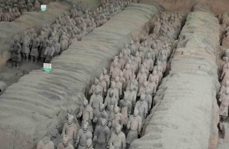 Xi'an: Half-Day Terracotta Warriors & Horses Museum Tour - Practical Details That Matter