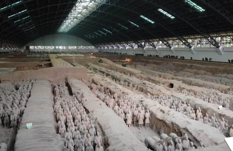 Xi'an: Half-Day Terracotta Warriors & Horses Museum Tour - Who Will Love This Tour?