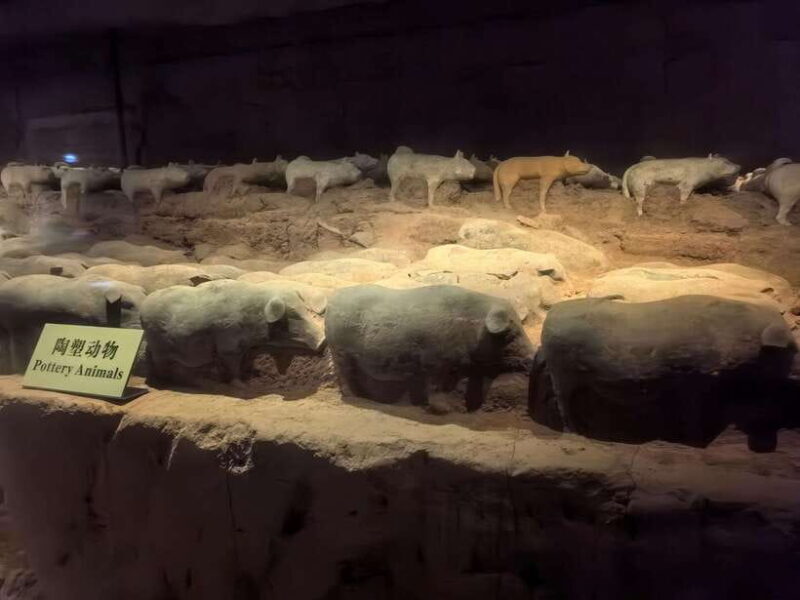 Xi'an: Han Yang Ling Tomb Archaeology Tour with Options - Practical Tips for Your Visit