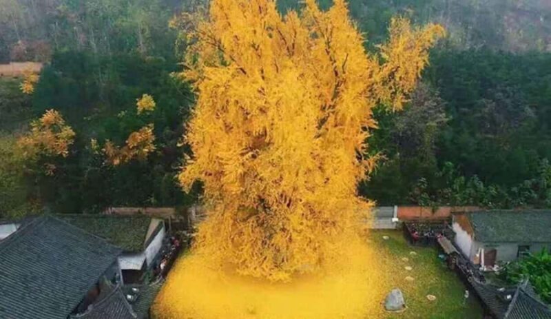 Xi'an Hidden Gems One-Day Private Tour - Authentic Experience and Value for Money