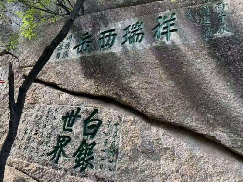 Xi'an: Hua Shan Mountain Private day Tour - The Experience on the Mountain