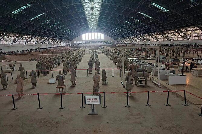 Xi'an Layover Private Tour with Terracotta Warriors - Real-World Insights from Travelers