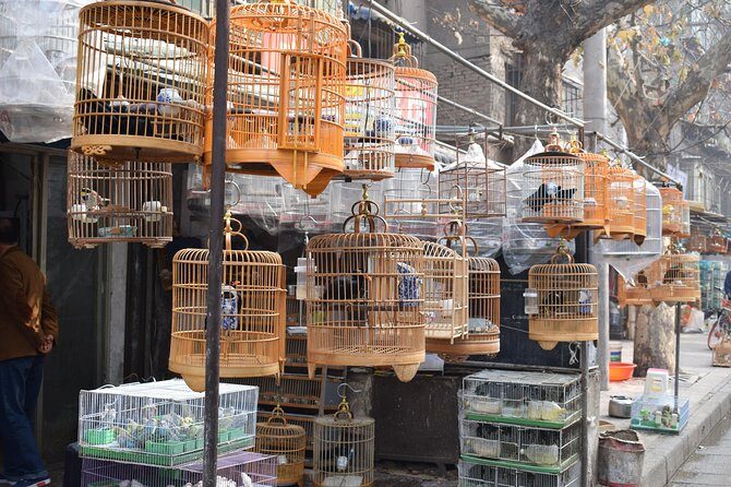 Xi'an Morning Walking and Foodie Tour - Key Points