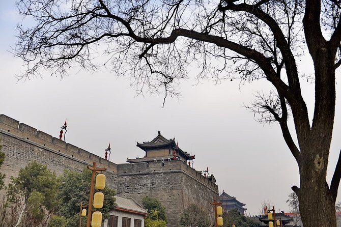 Xi'an Private Day Tour from Beijing with Deluxe Soft Sleeper Train Experience - Overview of the Itinerary