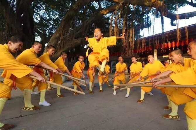 Xi'an Private Day Trip to Shaolin Temple and Songyang Academy by Bullet Train - Key Points