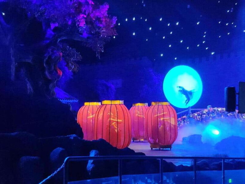 Xi'an Silk Road: Legend of Camel Bell Show Ticket w/Transfer - Who Should Consider This Tour?