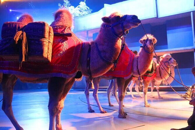 Xi'an Silk Road: Legend of Camel Bell Show Ticket with Transfer - Key Points