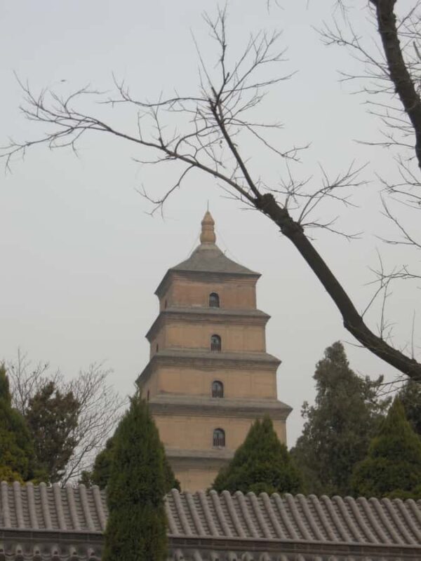 Xi'an: Terra-Cotta Warriors Entry with Optional Guide - Why Choose This Tour?