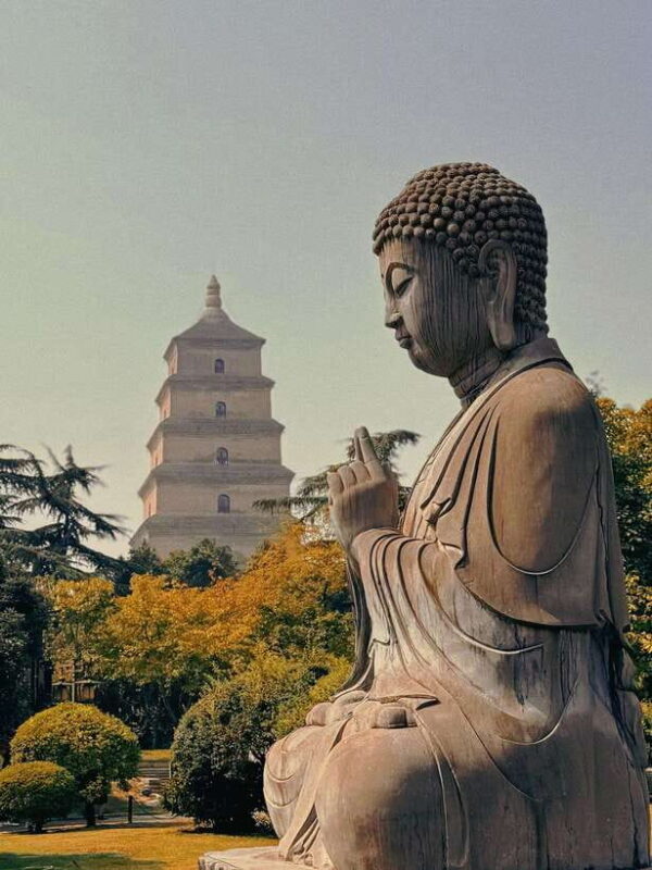 Xi'an: Terracotta Army and Big Wild Goose Pagoda Tour - Practical Tips for Your Tour Day