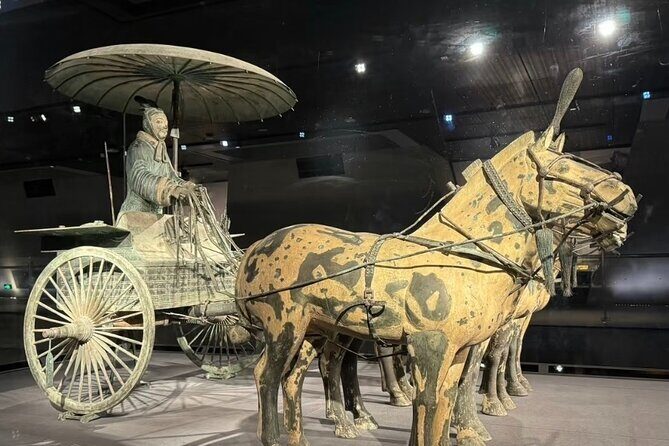 Xi'An Terracotta Army Half Day With ENG/CHN/JAP/SPA Guide Daily - Who Should Consider This Tour?
