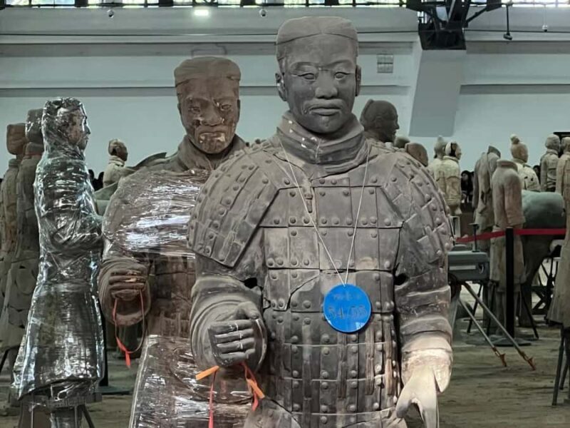 Xi'an: Terracotta Army & Huaqing Palace Tour with Lunch - Who Should Consider This Tour?