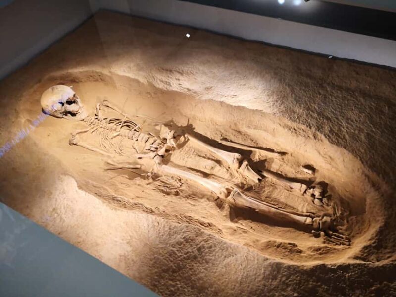 Xi'an: Terracotta Army & Shaanxi Archaeology Museum Day Trip - A Detailed Look at the Tour Experience