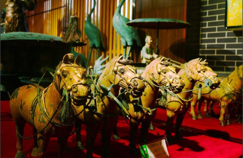 Xi'an Terracotta Warriors Banpo Museum Option Private Tour - Key Points