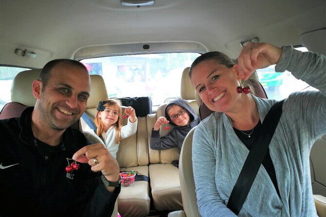 Xi'an: Top 3 Highlights All Inclusive Private Day Tour - Practicalities and What This Tour Means for You