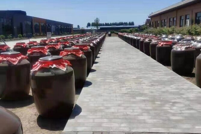 Xian Tours of Bronze Ware of Zhou&Qin QiShan Noodles - An In-Depth Look at the Tour Experience