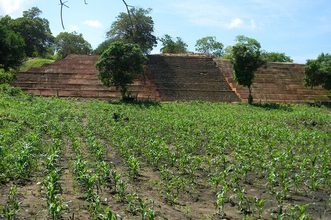 Xihucan archaeological tour - The Sum Up