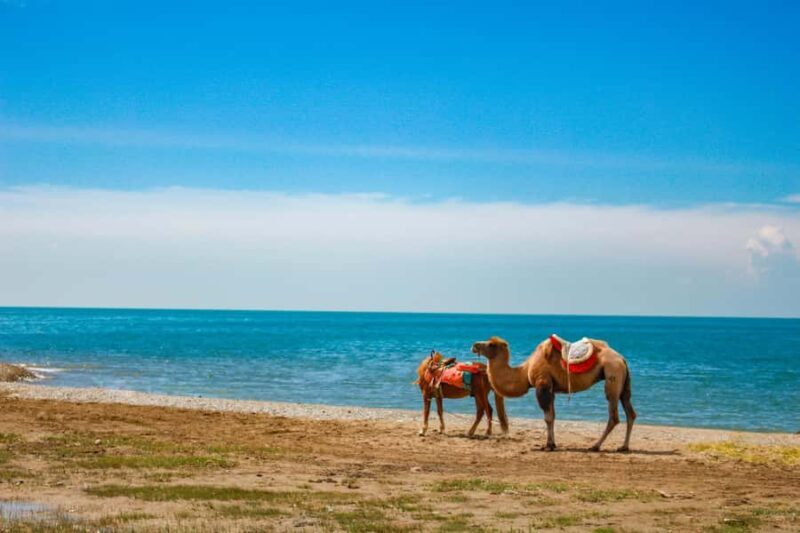 Xining: Qinghai Lake Private Day Tour with Bike Ride - Key Points