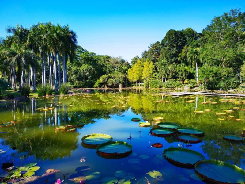 Xishuangbanna: 7-Day Dai Heritage & Botanical Wonders - A Practical Look at the 7-Day Experience