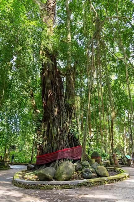 Xishuangbanna: Day Trip to Daluo - Key Points