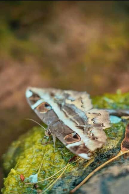 Xishuangbanna: hiking in the rain forest of Jinuo Mountain - Exploring the Itinerary in Detail