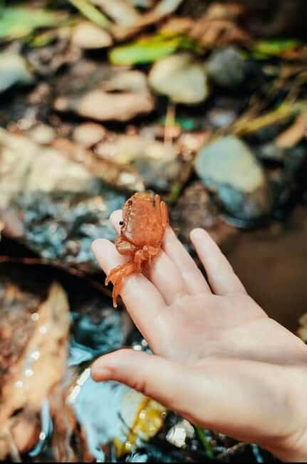 Xishuangbanna: hiking in the rain forest of Jinuo Mountain - Who Will Love This Tour?