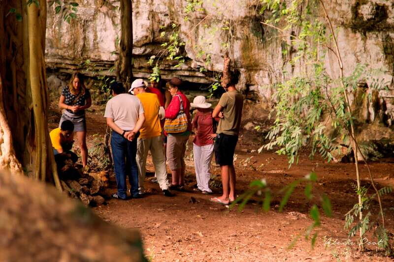 Xkopek, Mayan Bees Tour and Honey Tasting in Valladolid - Key Points