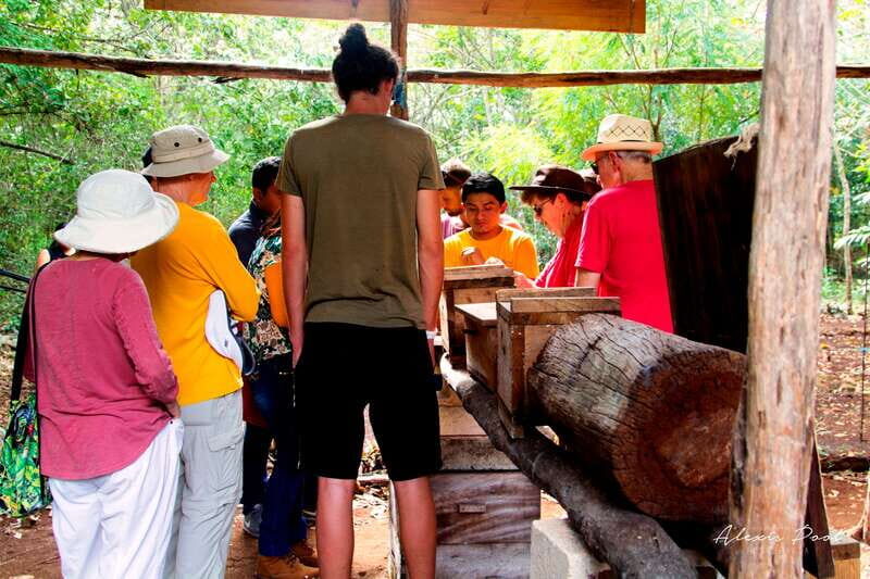 Xkopek, Mayan Bees Tour and Honey Tasting in Valladolid - The Value of the Tour