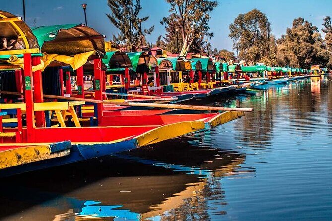 Xochimilco 5 Hour Boat Ride and UNAM University Tour - Key Points