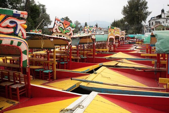 Xochimilco 5 Hour Boat Ride and UNAM University Tour - Who Should Consider This Tour?