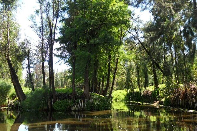 Xochimilco 5 Hour Boat Ride and UNAM University Tour - FAQ