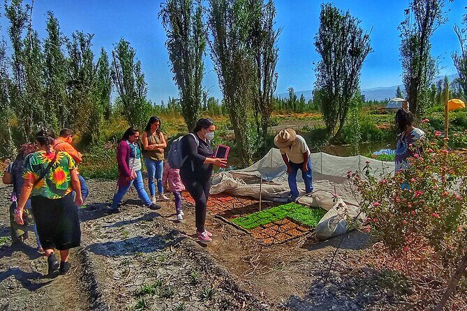 Xochimilco Ancestral Ajolotos Chinampas and Living Tradition - Key Points