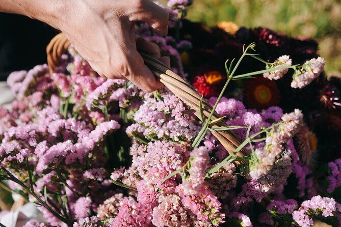 Xochimilco Ancestral Ajolotos Chinampas and Living Tradition - The Sum Up: Is It Worth It?