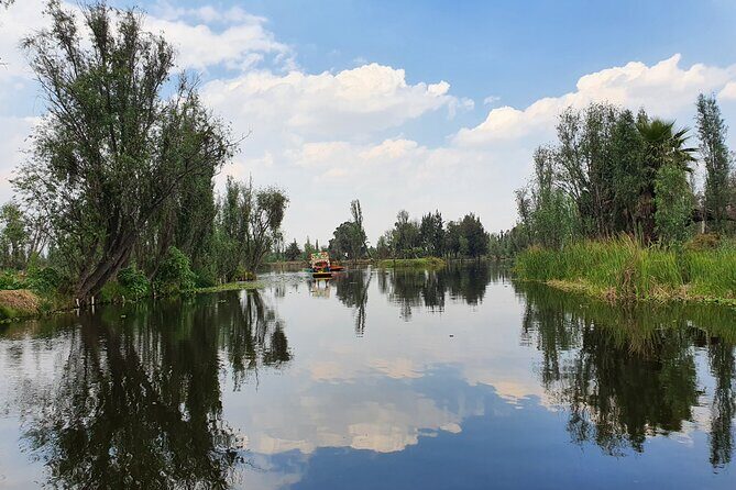 Xochimilco Boat PartyTemptation + 18 with open bar and cleats - Final Thoughts: Is It Worth It?