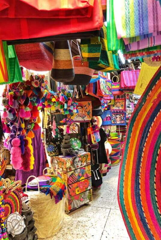 Xochimilco Canals and the Treasures of Coyoacán Tour - Key Points