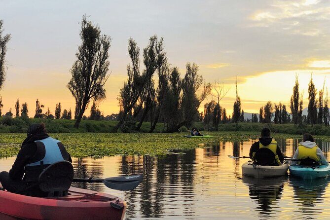 Xochimilco Canals by Kayak - Final Considerations