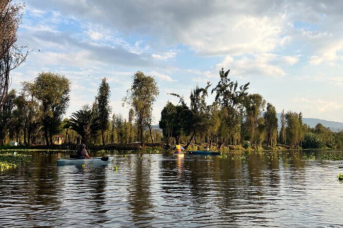 Xochimilco Canals by Kayak - Who This Tour Is Best For