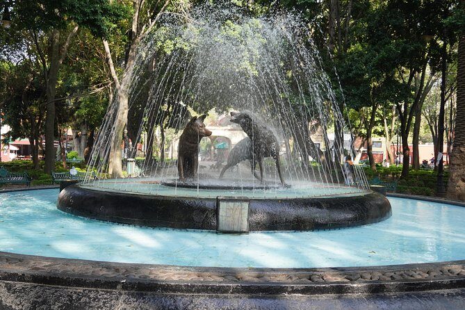 Xochimilco, Coyoacán and Frida Kahlo Museum Private Tour - FAQ