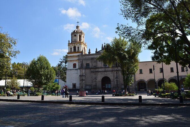 Xochimilco, Coyoacan and Frida Kahlo Museum Tour - Who Should Consider This Tour?