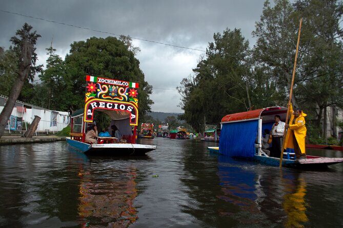 Xochimilco, Coyoacán & Ciudad Universitaria Tour - Key Points
