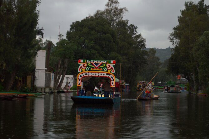 Xochimilco, Coyoacán & Ciudad Universitaria Tour - Authentic Encounters and Insights from Past Participants