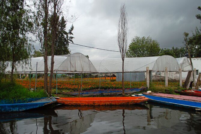 Xochimilco, Coyoacán & Ciudad Universitaria Tour - FAQs
