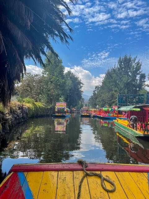 Xochimilco + Coyoacán Combo Full-Day Tour - Who Will Love This Tour?