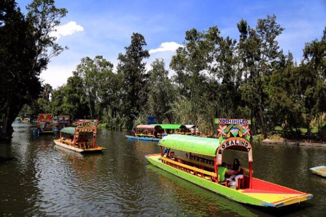 XOCHIMILCO & COYOACAN (Private) - Key Points