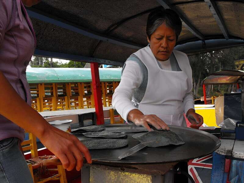 Xochimilco Day Trip: Farmland Food and Hop on a Trajinera - Discovering Xochimilco: What the Tour Offers