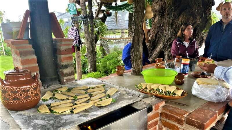 Xochimilco Day Trip: Farmland Food and Hop on a Trajinera - Kayaking Through the Gardens